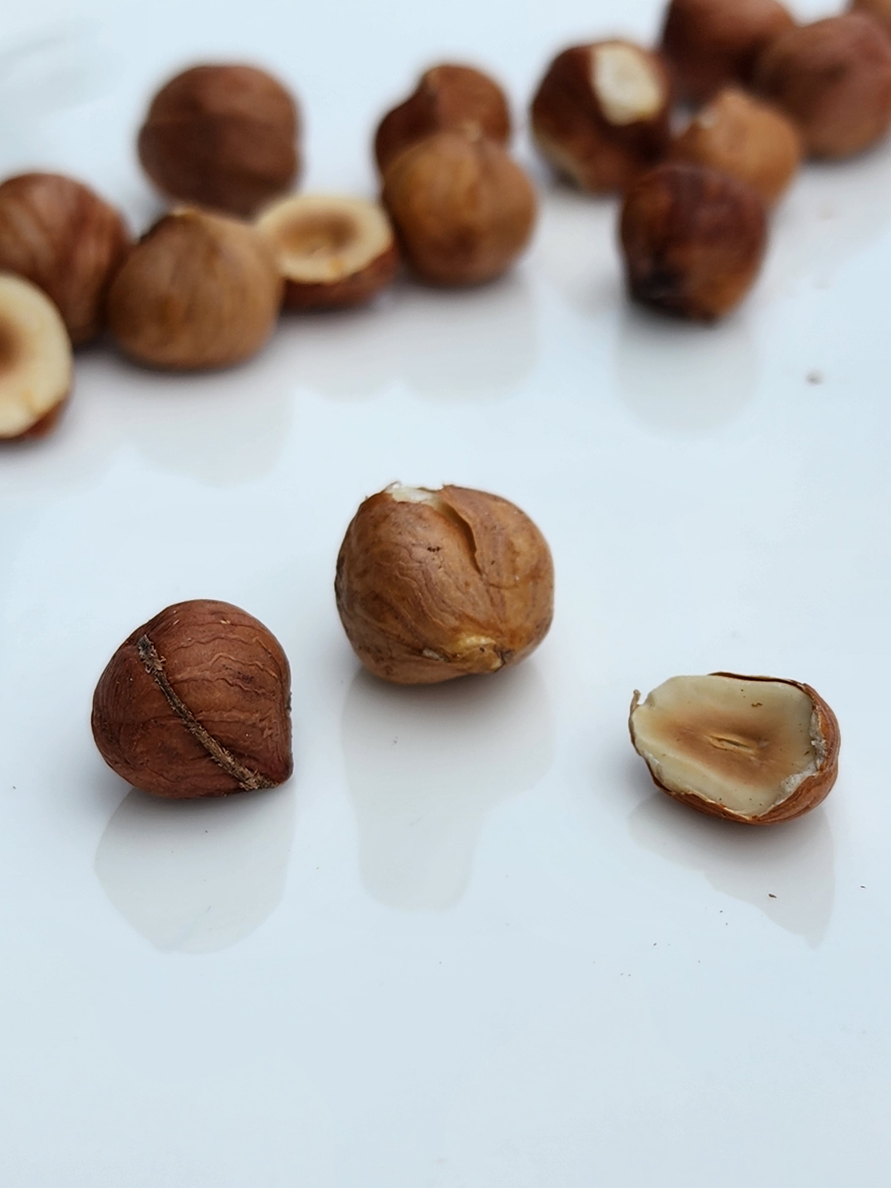 Washington Hazelnut LLC | Retail and Wholesale